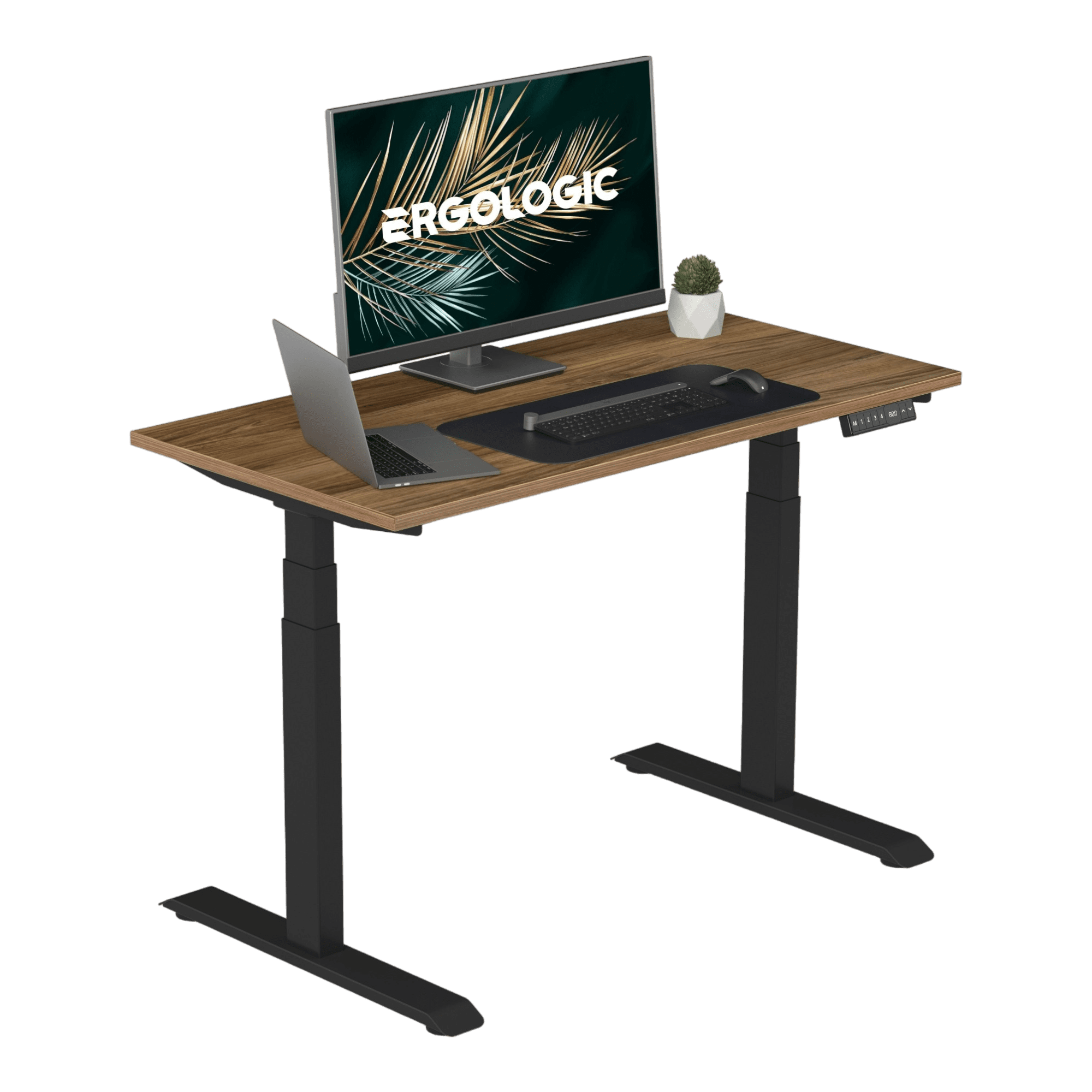 Standing Desk Archives - Ergologic Height Adjustable Table Sit to Stand ...