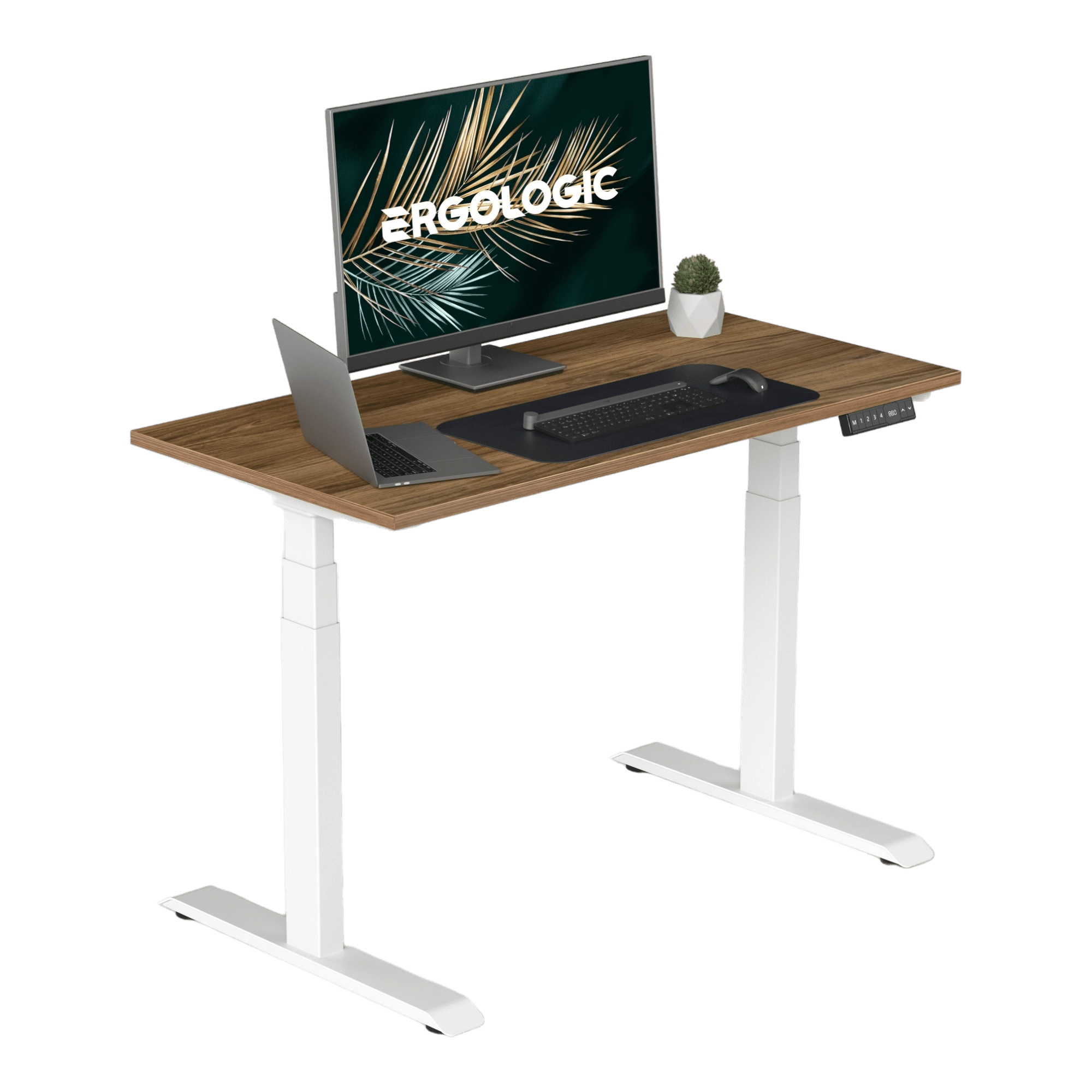 Electric Dual Motor Height Adjustable Table