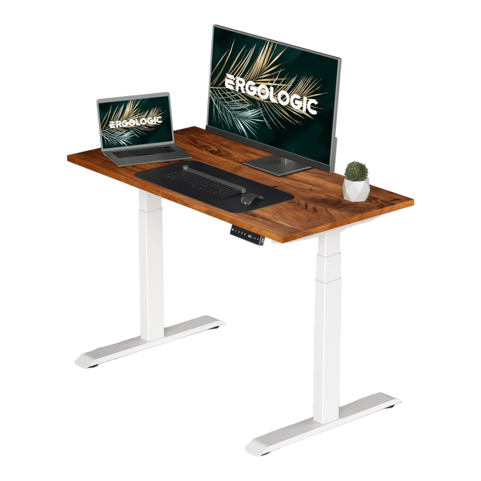 Dual Motor Electric Height Adjustable Desk With Table Top 3 Stage