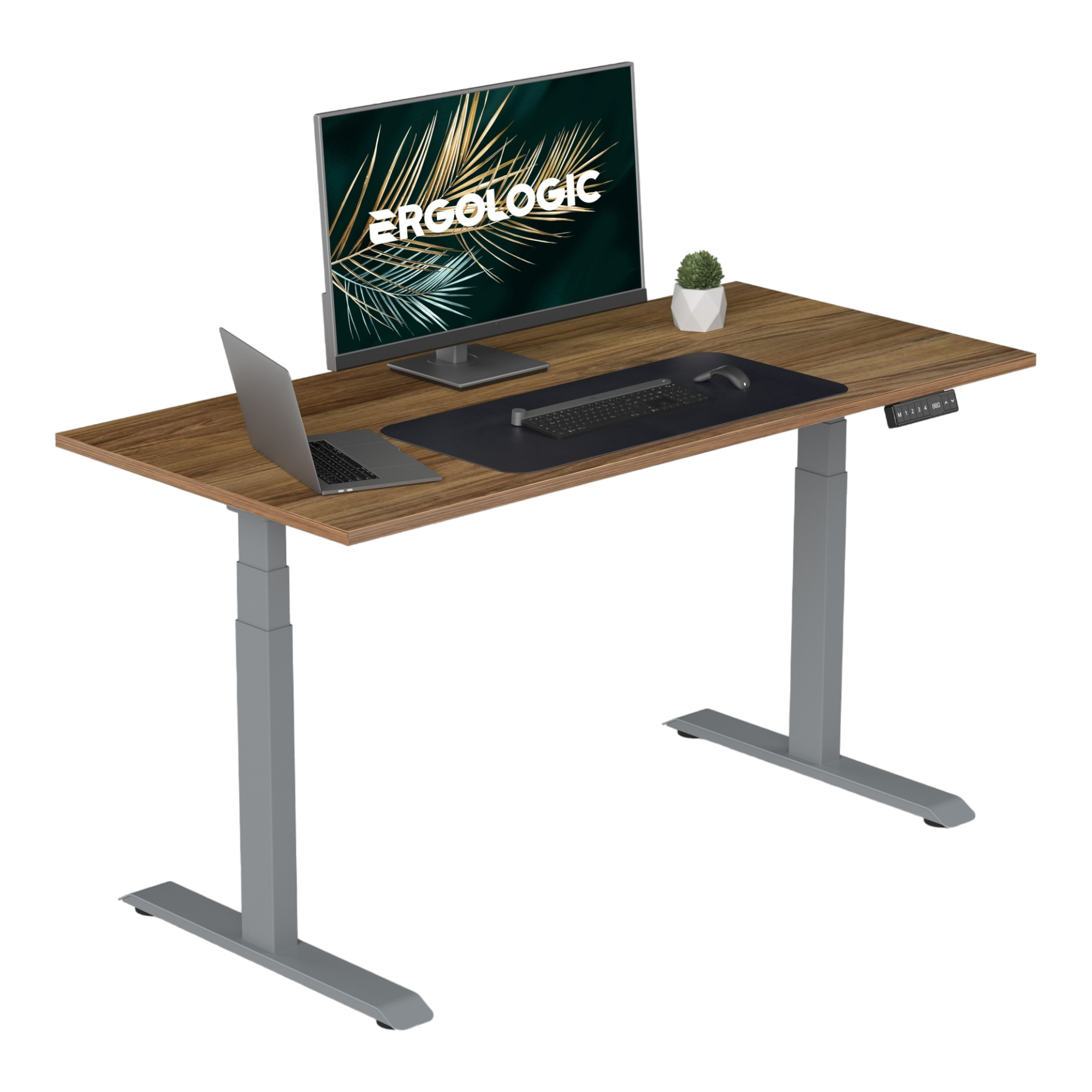 Dual Motor Electric Height Adjustable Desk With Table Top 3 Stage