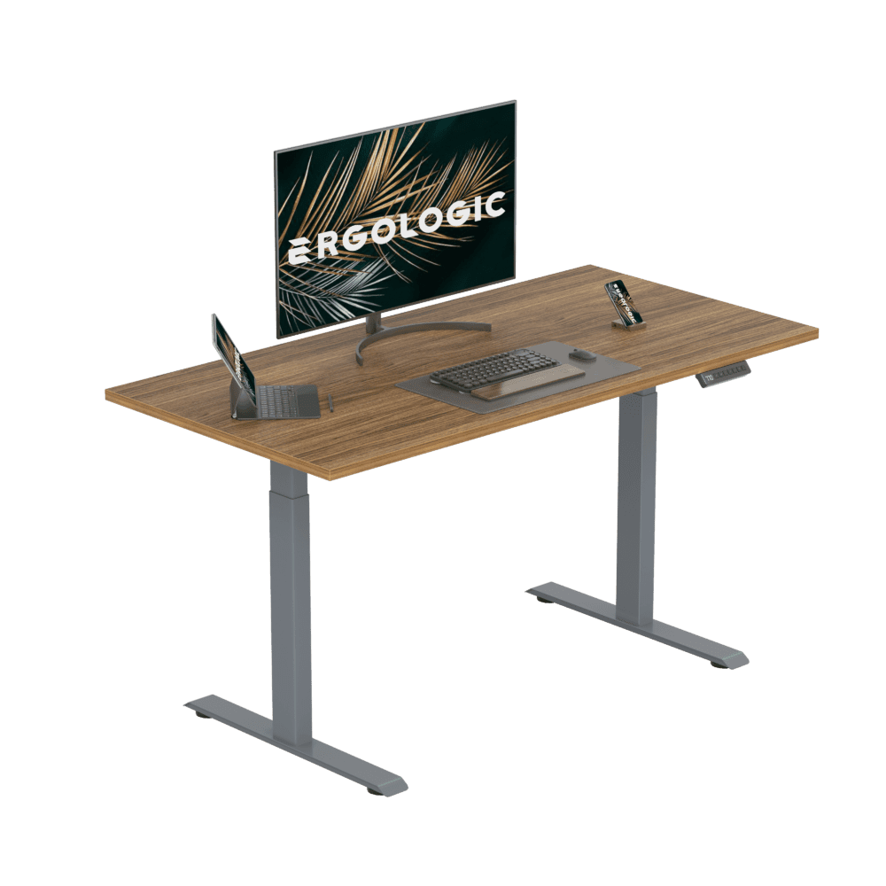 Dual Motor Electric Height Adjustable Desk With Table Top 2 Stage